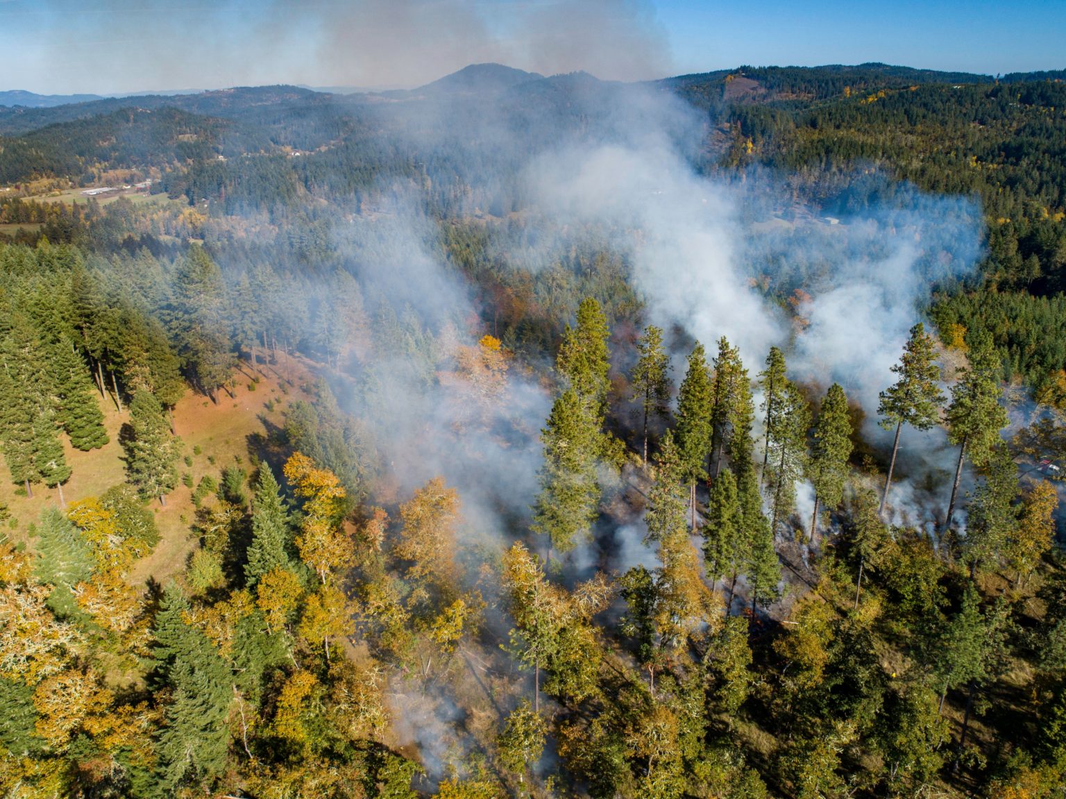 Restoration - McKenzie River Trust | Protecting Lands in Western Oregon