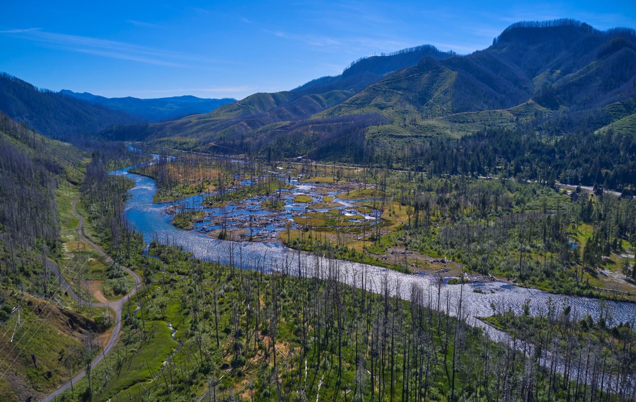 Protecting the McKenzie River