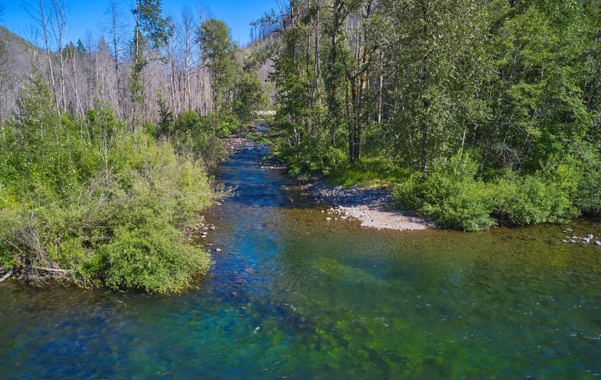 Growing Finn Rock Reach - 636 Acres Protected on the McKenzie River ...