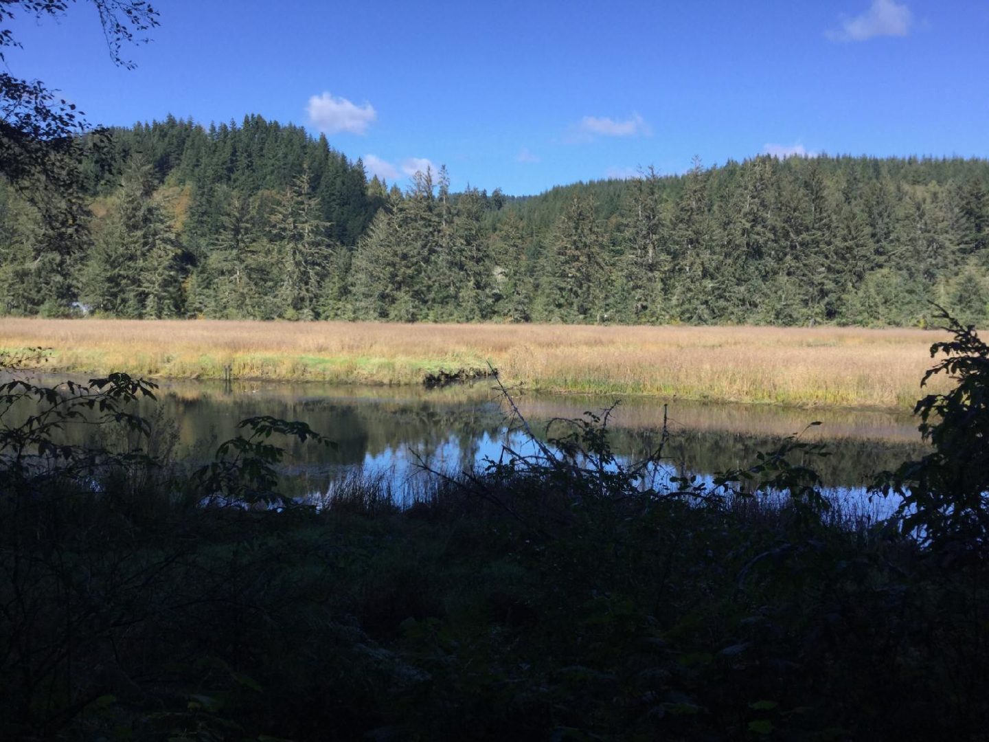 Duncan Island - McKenzie River Trust