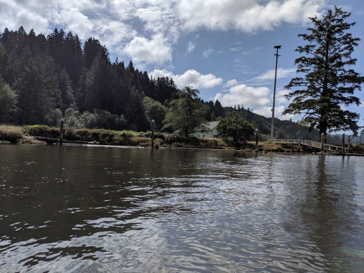 Wren Marsh - McKenzie River Trust | Protecting Lands in Western Oregon