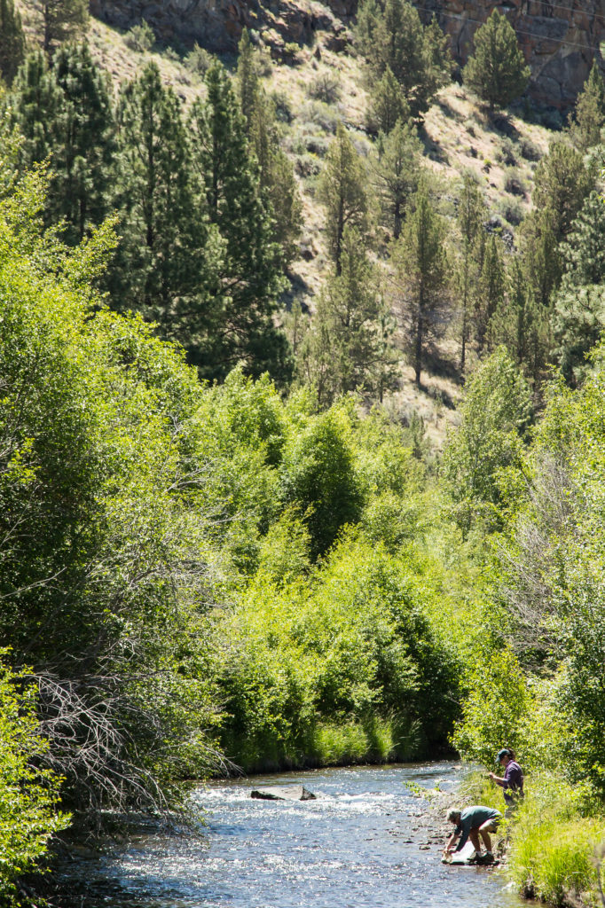 Rimrock Ranch - McKenzie River Trust | Protecting Lands in Western Oregon