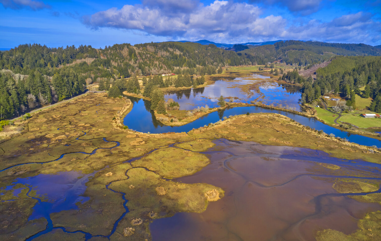 Property Donation Protects Coho Salmon Habitat on Oregon Coast ...