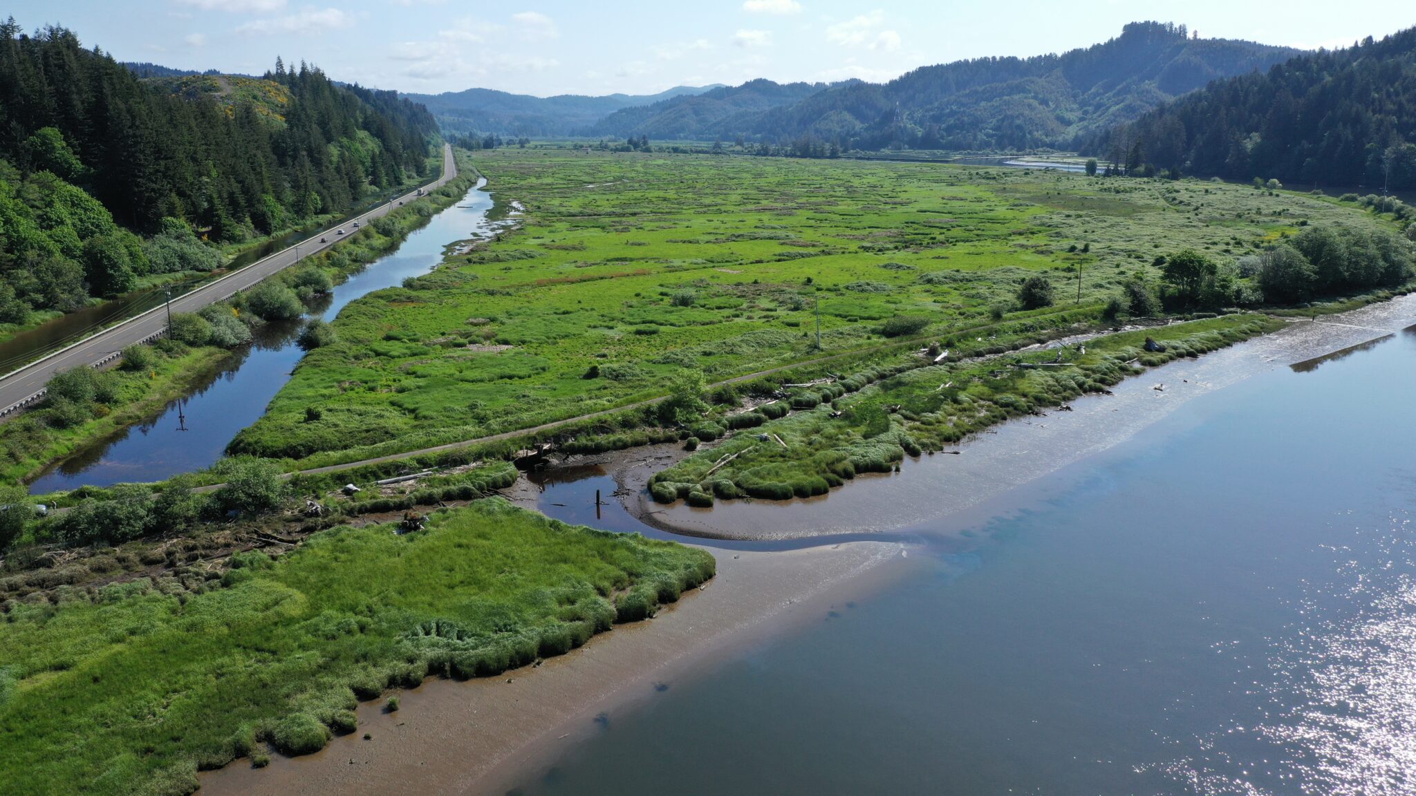 McKenzie River Restoration - McKenzie River Trust | Protecting Lands in ...