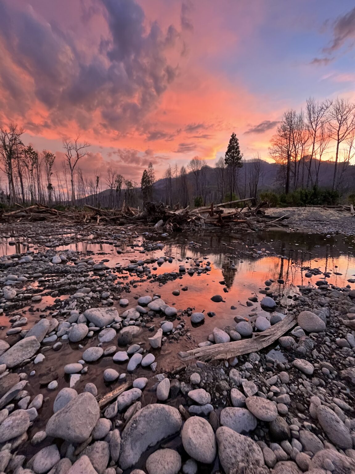 Partners Complete Multi-Year Floodplain Restoration Project at Finn ...