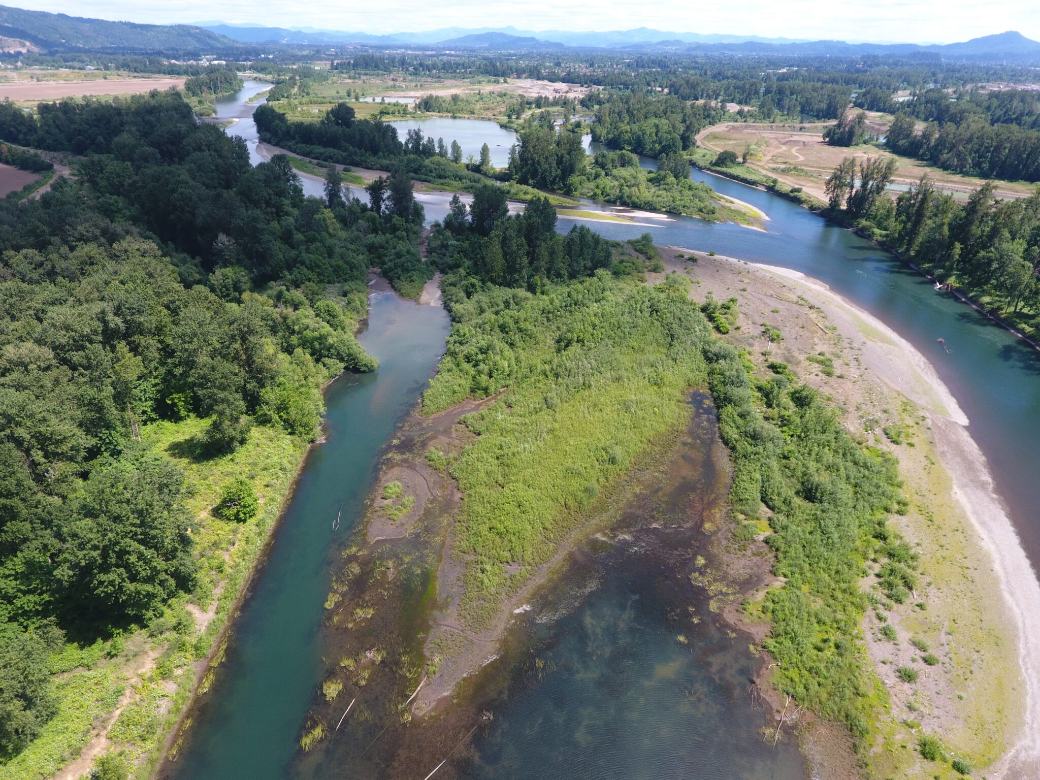 McKenzie River Restoration - McKenzie River Trust | Protecting Lands in ...